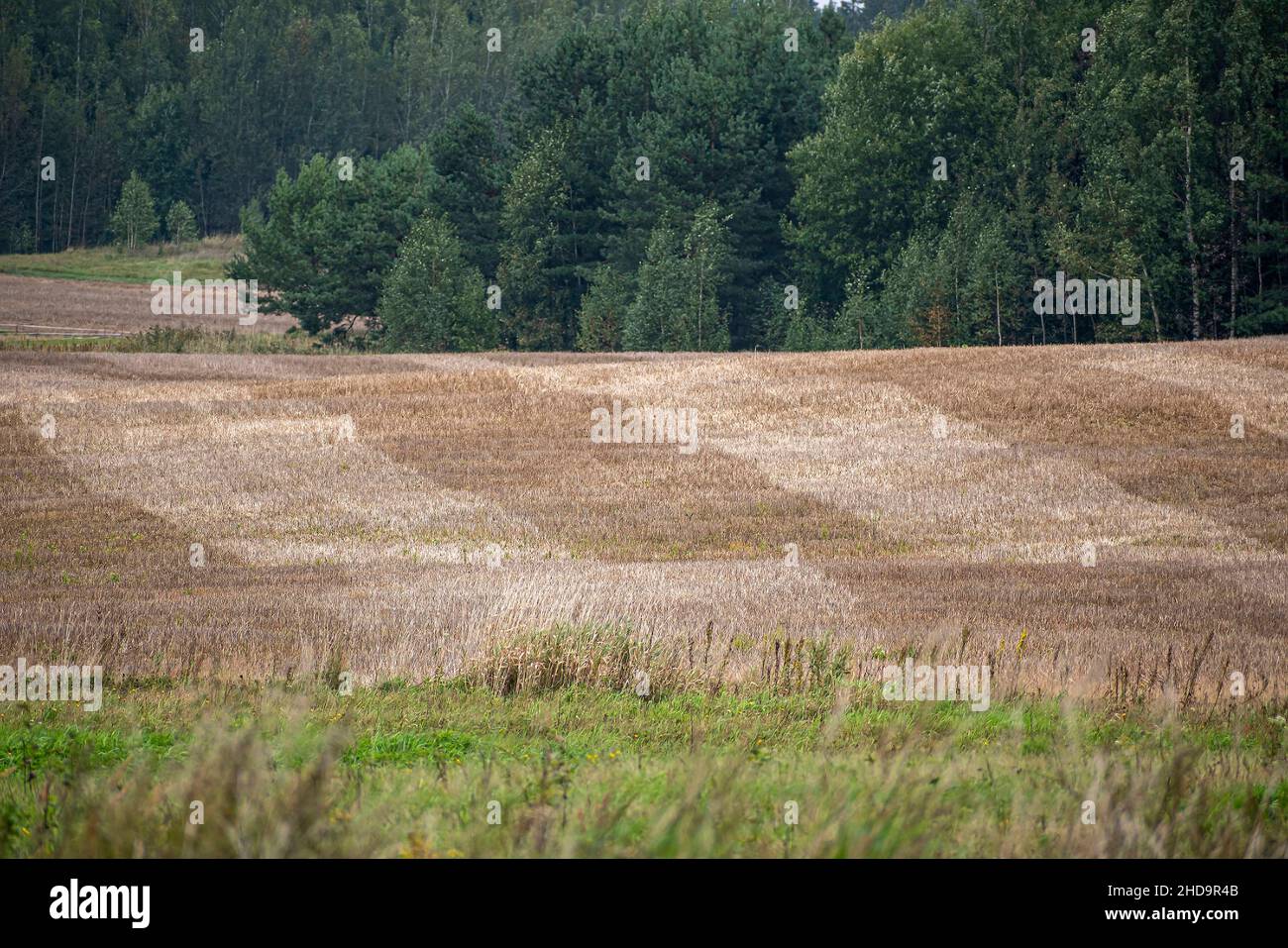 Lithuanian countryside hi-res stock photography and images - Alamy