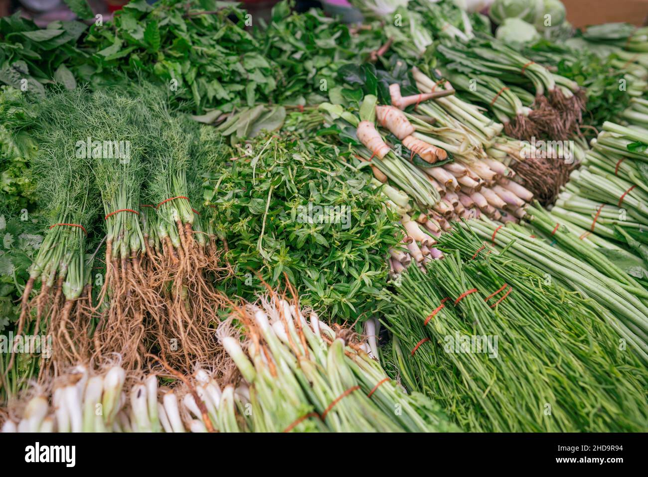 Some Common Wild Edible Vegetables Sold At Local Markets Of Download ...
