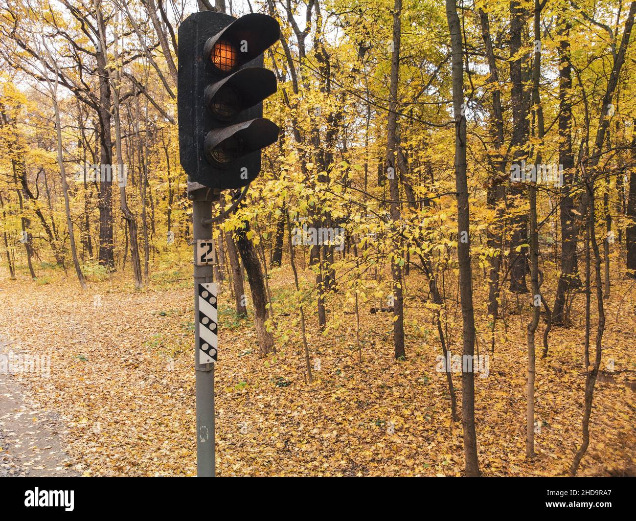 Forest railroad hi-res stock photography and images - Alamy