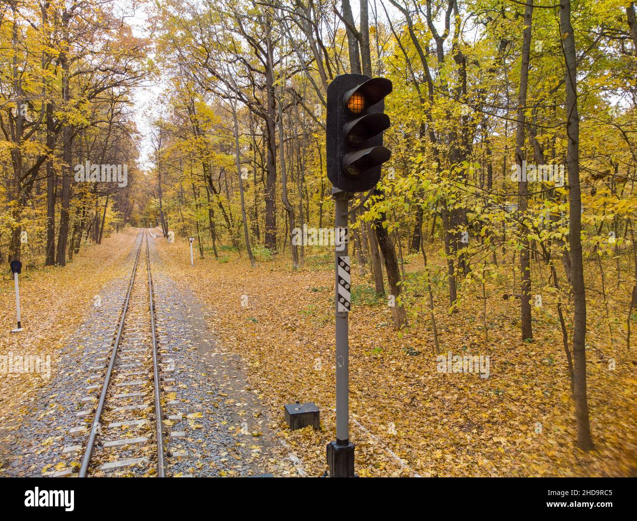Train traffic light near railway track line in bright yellow leaves in ...
