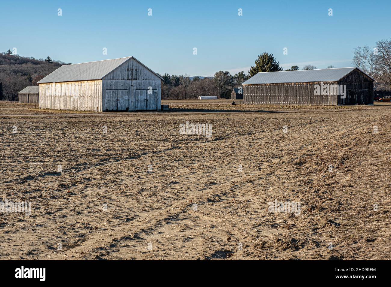 Two tobacco barns in an empty field Stock Photo - Alamy