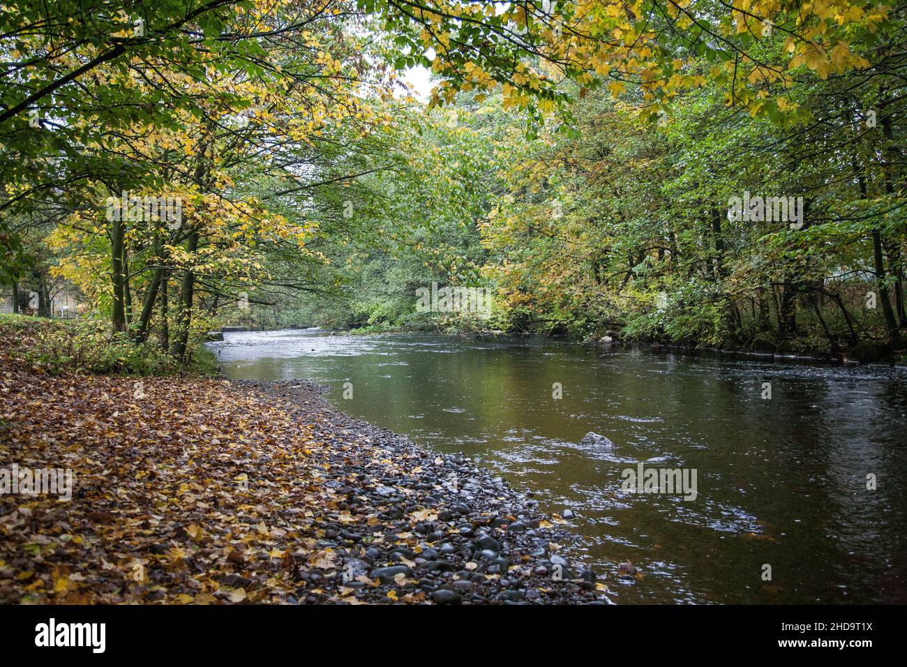 Ribble valley autumn hi-res stock photography and images - Alamy