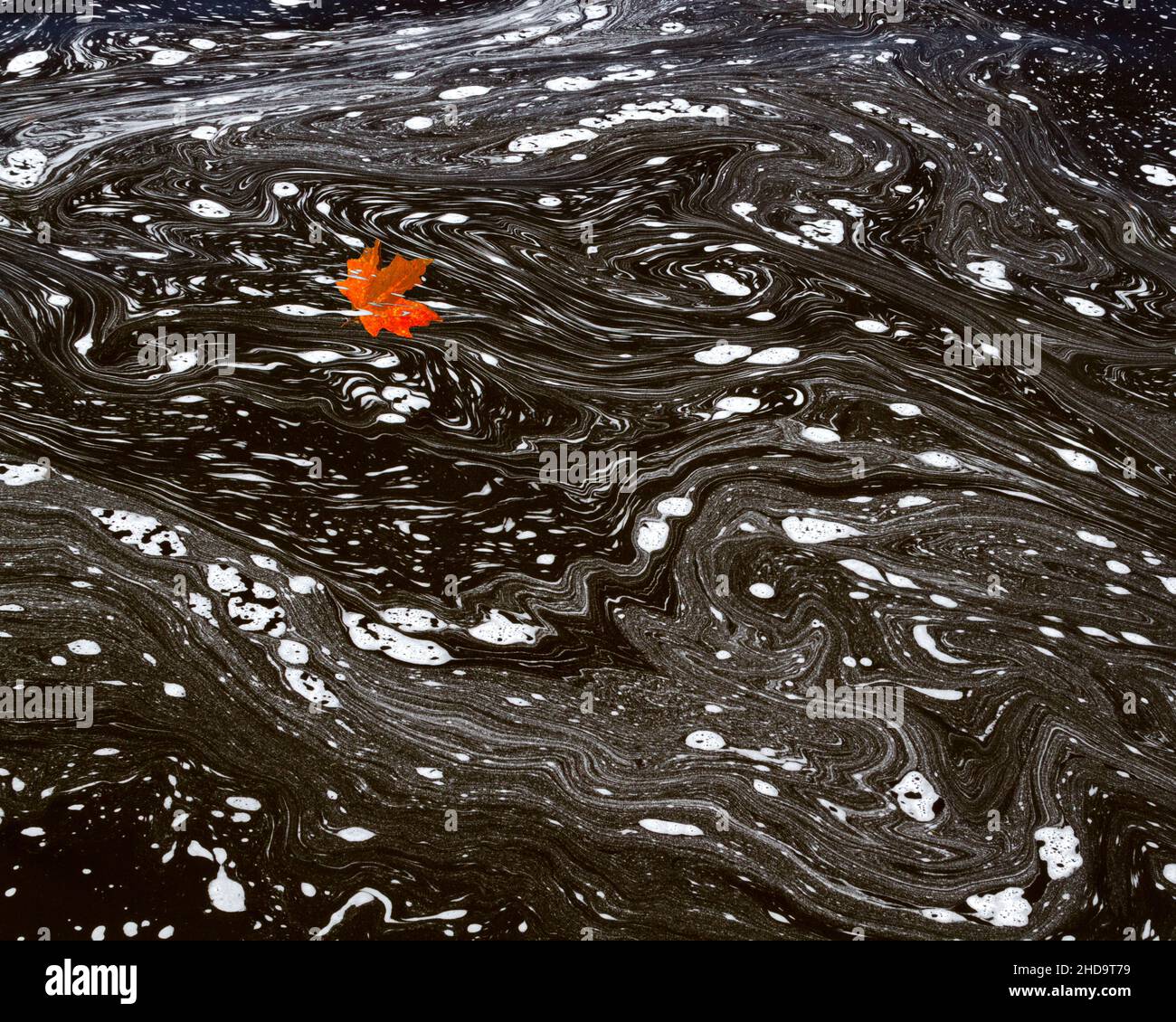 Leaf eddy patterns hi-res stock photography and images - Alamy
