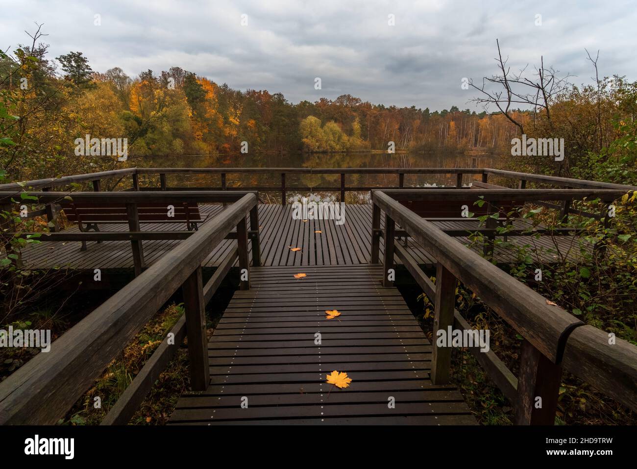 Recreational platform hi-res stock photography and images - Alamy