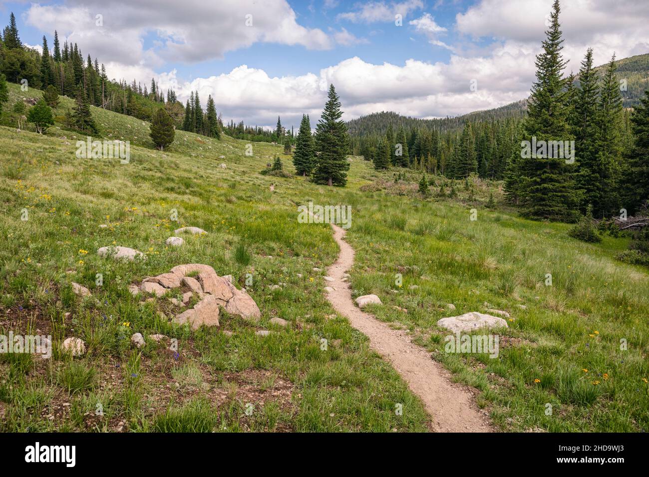 Hiking trail in the Indian Peaks Wilderness, Colorado Stock Photo - Alamy