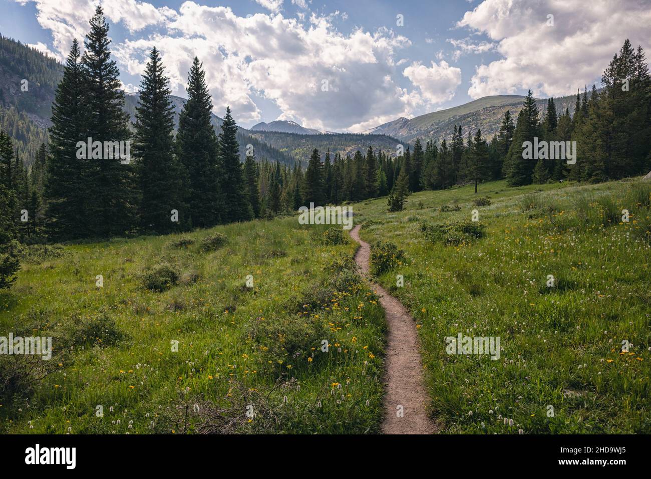 Hiking trail in the Indian Peaks Wilderness, Colorado Stock Photo - Alamy