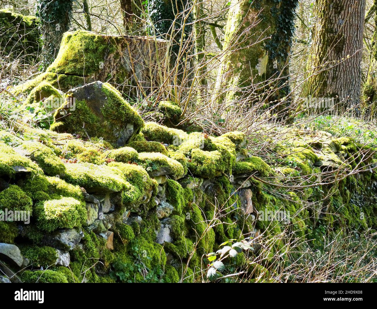Drystone wall garden hi-res stock photography and images - Alamy