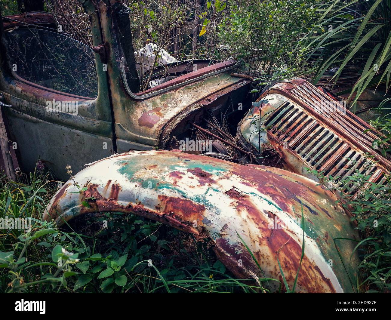 Abandoned rusting vintage car in the forest Stock Photo - Alamy