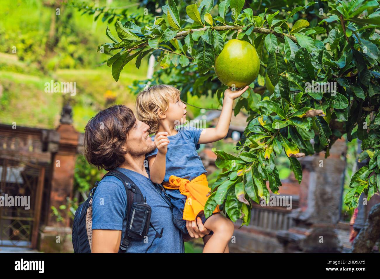 Dad and son are looking at Bael, Kebo Yuwa or Kebo Wandira or Kebo ...
