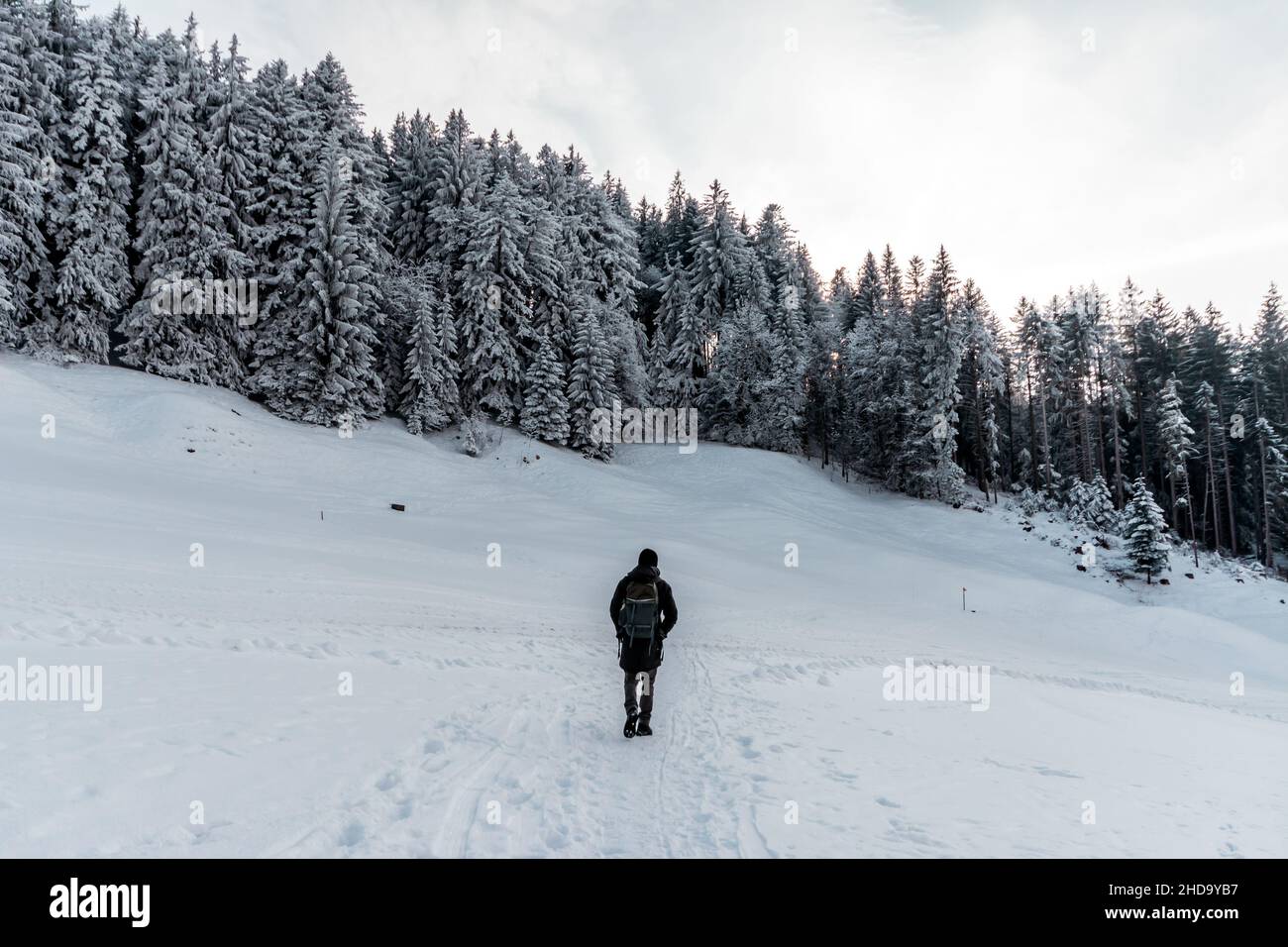 Deep snowfall hi-res stock photography and images - Alamy