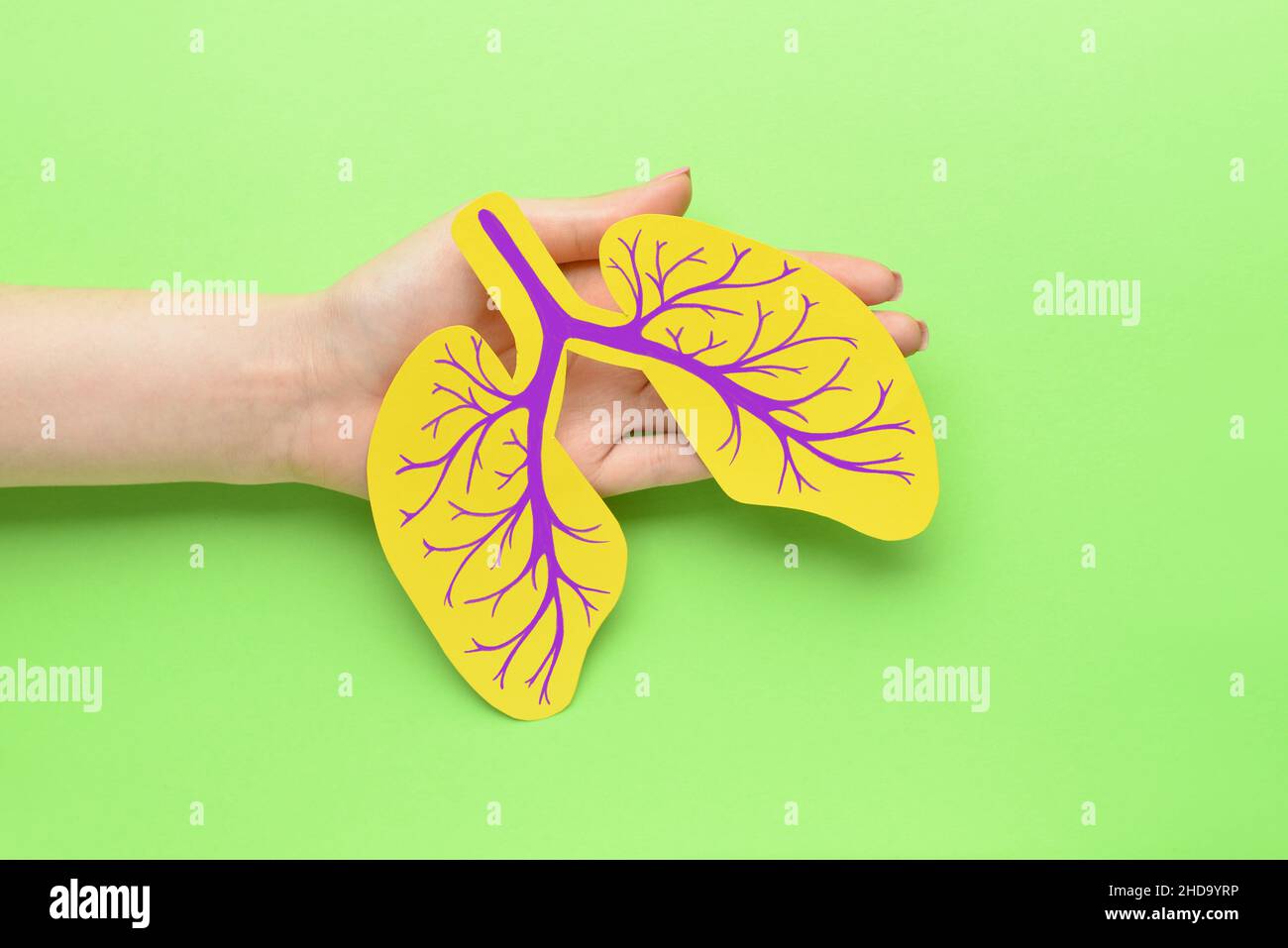 Female hand holding paper lungs on green background Stock Photo - Alamy