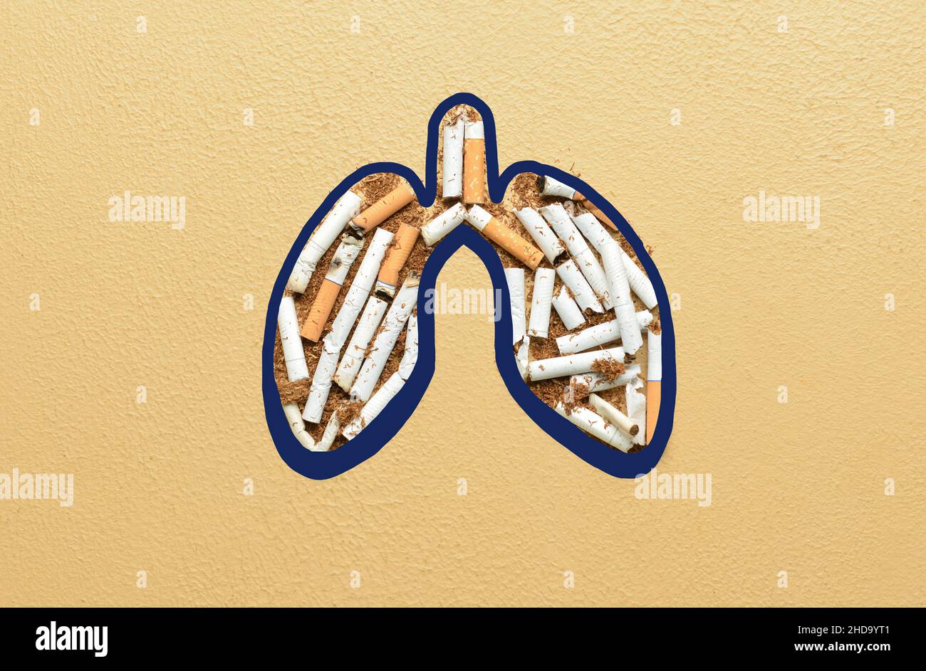 Smoker lungs trachea hi-res stock photography and images - Alamy