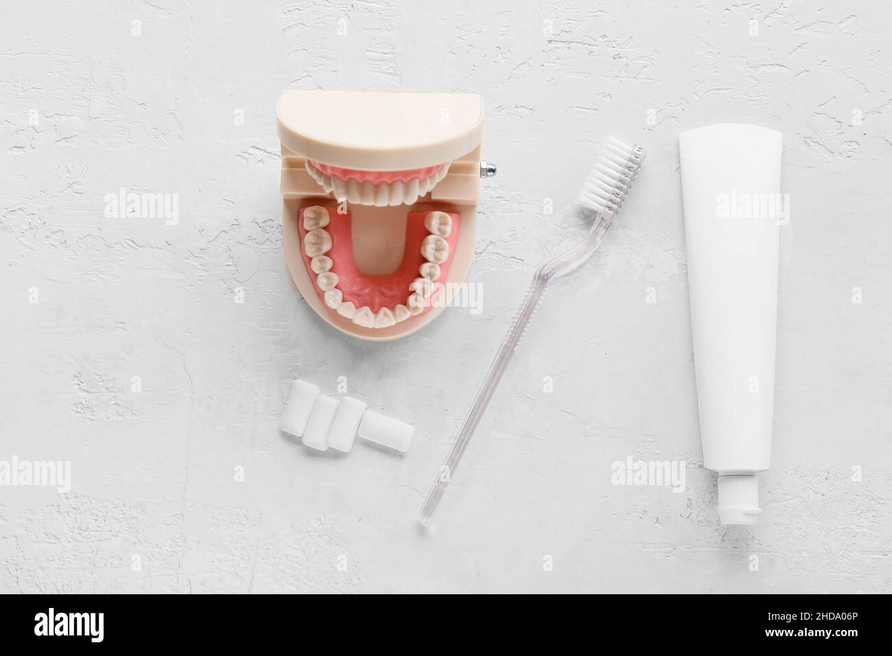Tube with tooth paste, brush, chewing gums and model of jaw on light ...