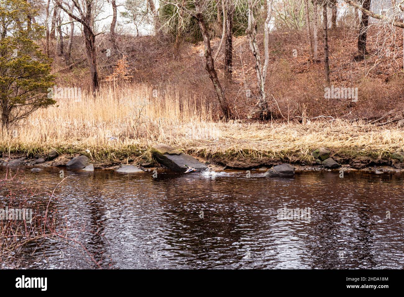 Dry rivershore hi-res stock photography and images - Alamy