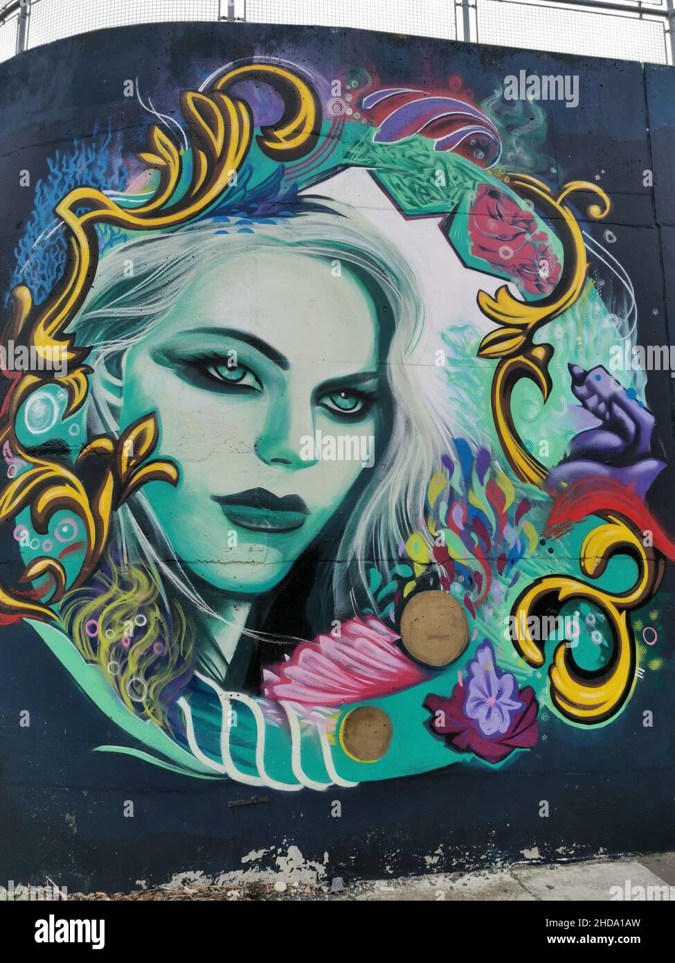 Beautiful graffiti of a woman in Newcastle co. Down North ireland Stock ...
