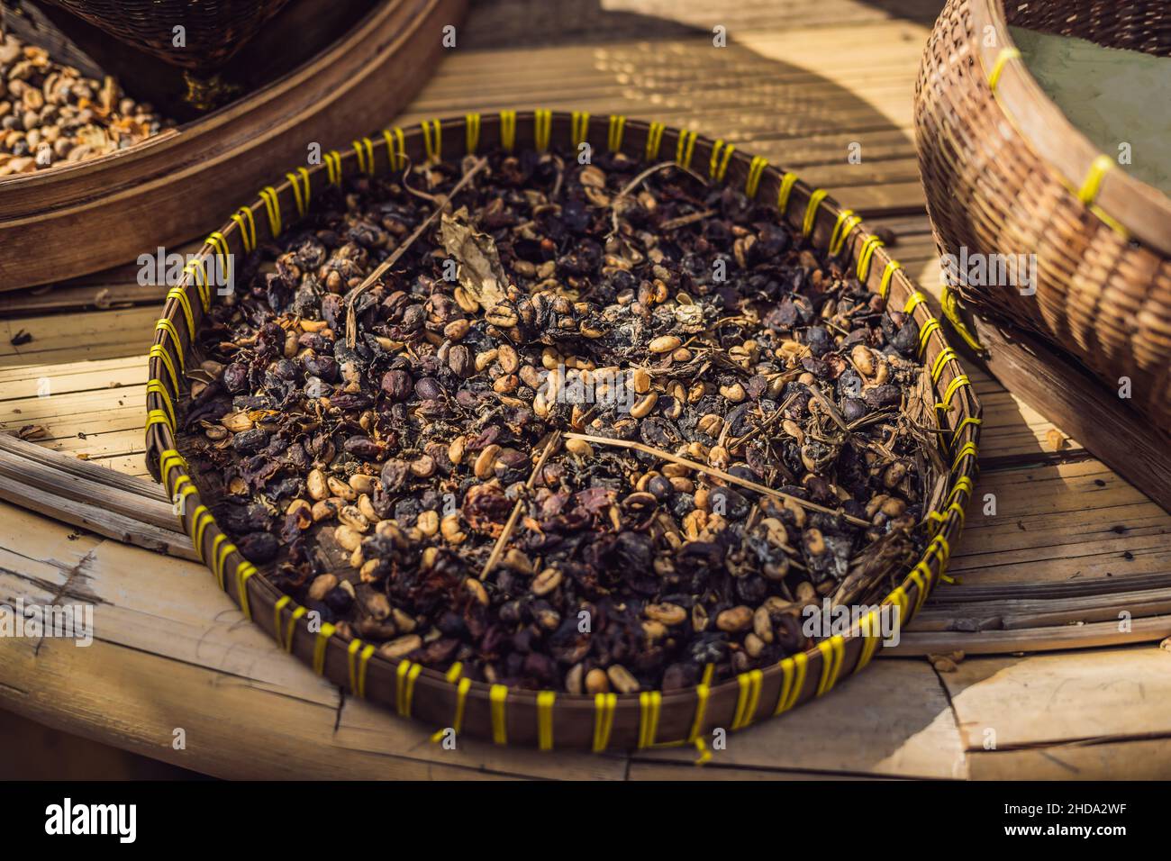 Kopi tree hi-res stock photography and images - Alamy