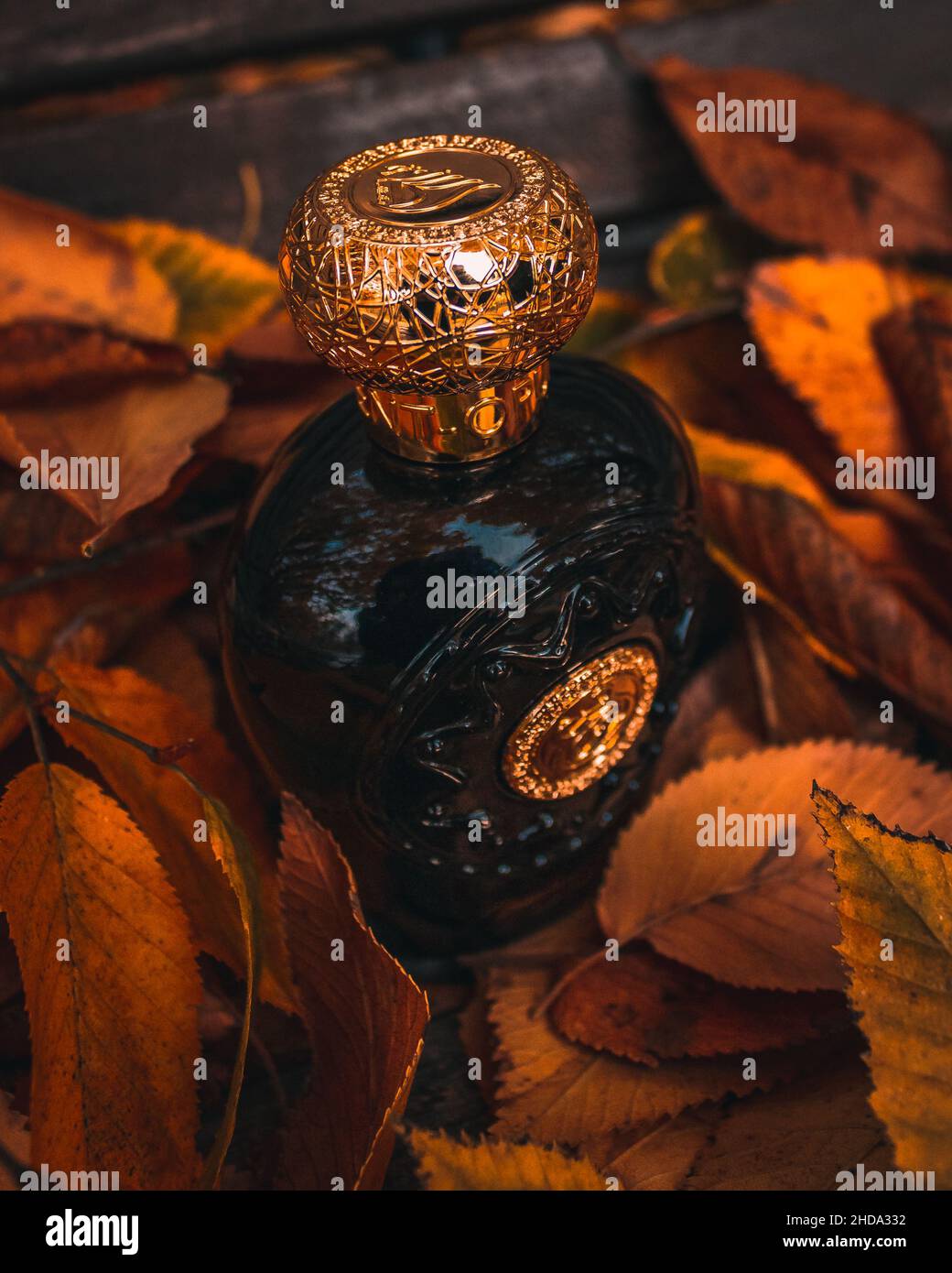 Arabic perfume bottle with luxurious texture in an autumn scene Stock ...