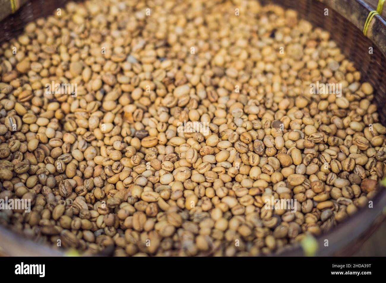 Sumatra coffee farm hi-res stock photography and images - Alamy