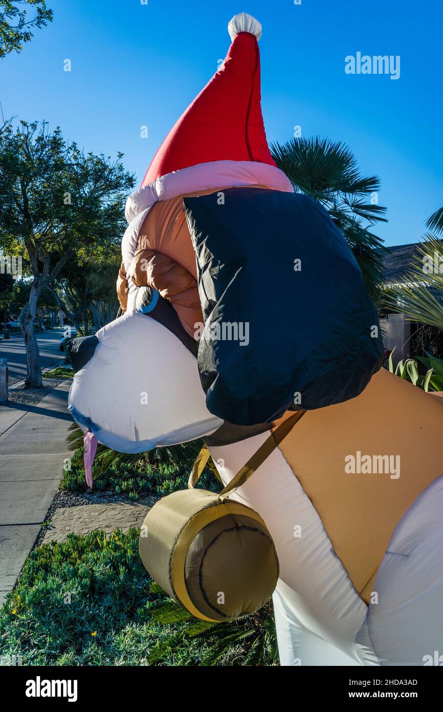 A Saint Bernard blow-up dog for Christmas display Stock Photo - Alamy
