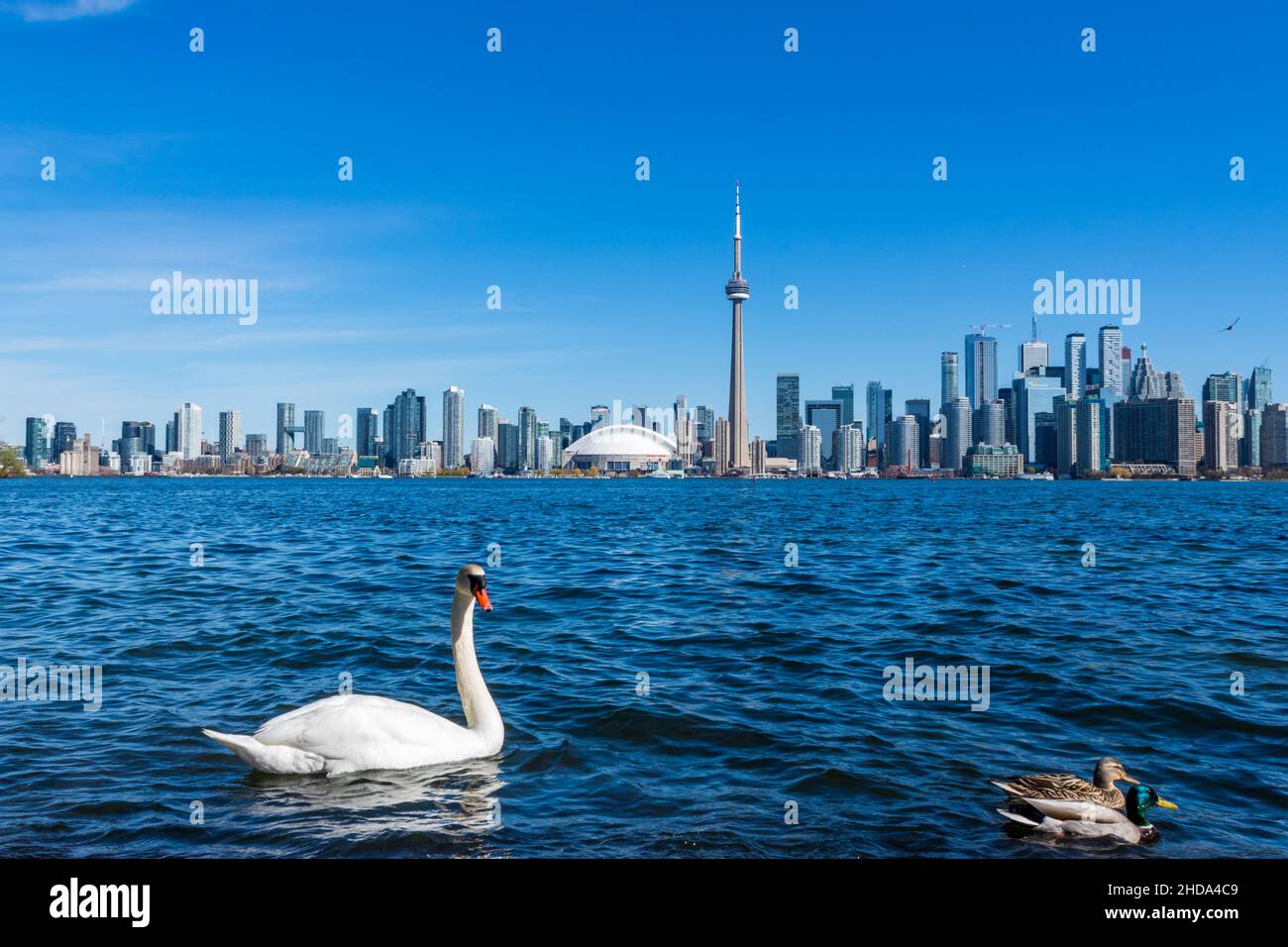 Beautiful places in Toronto - Canada Stock Photo - Alamy