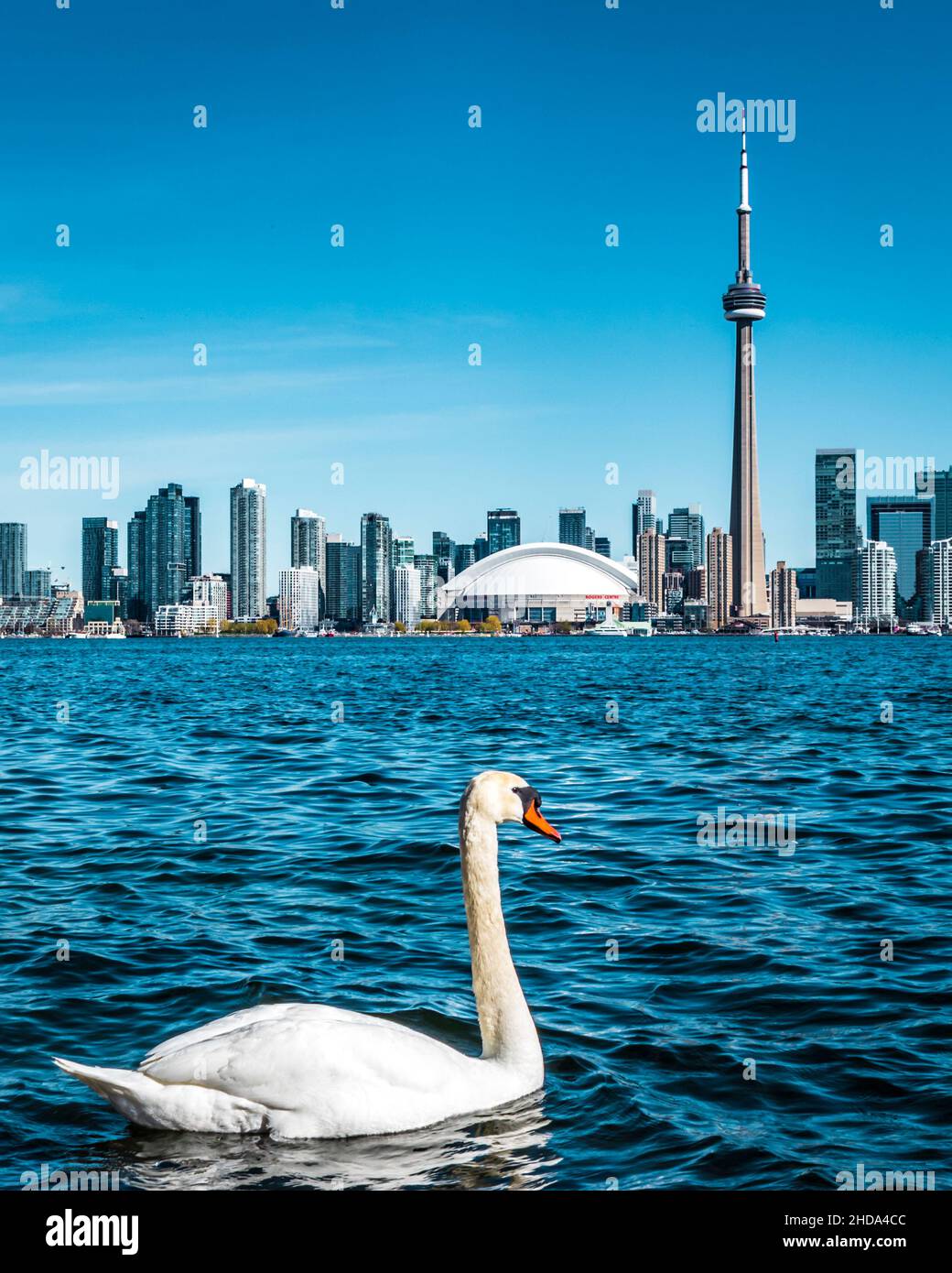 Beautiful view skyscrapers toronto hi-res stock photography and images ...