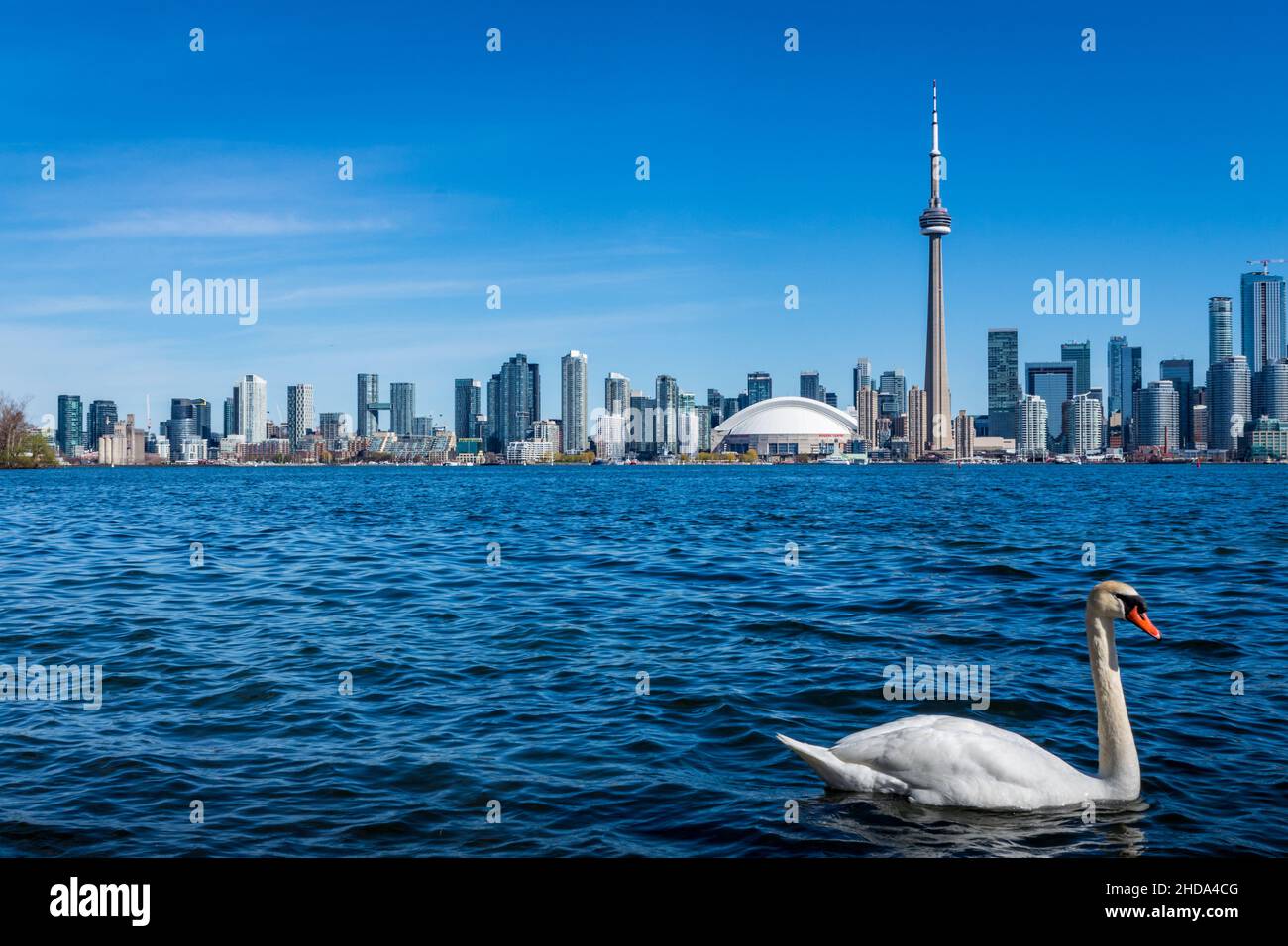 Beautiful places in Toronto - Canada Stock Photo - Alamy