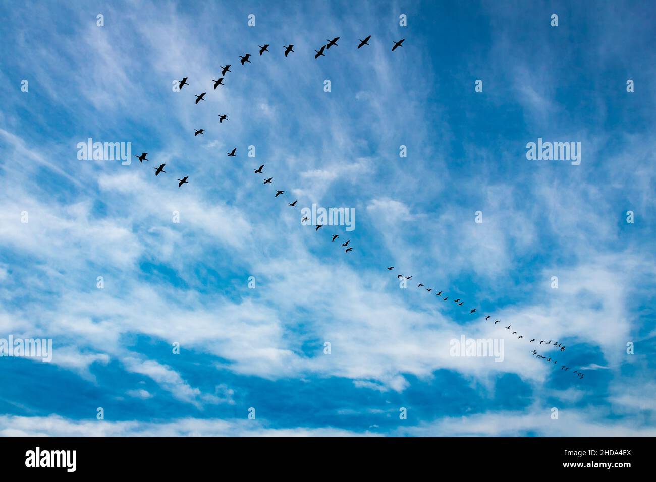 Beautiful places in Toronto - Canada Stock Photo - Alamy