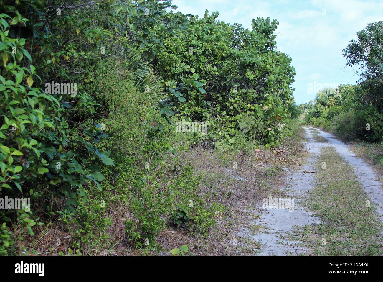 low angle sand path in the day Stock Photo - Alamy