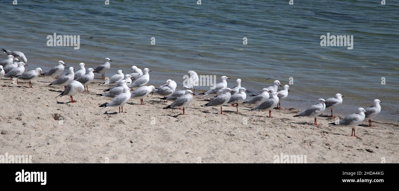 Diagonal Alignment High Resolution Stock Photography and Images - Alamy