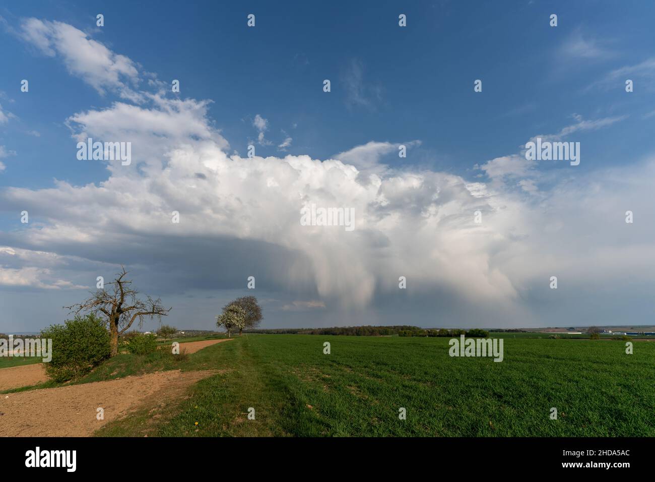 Cumulus cloud with falling streaks Stock Photo - Alamy