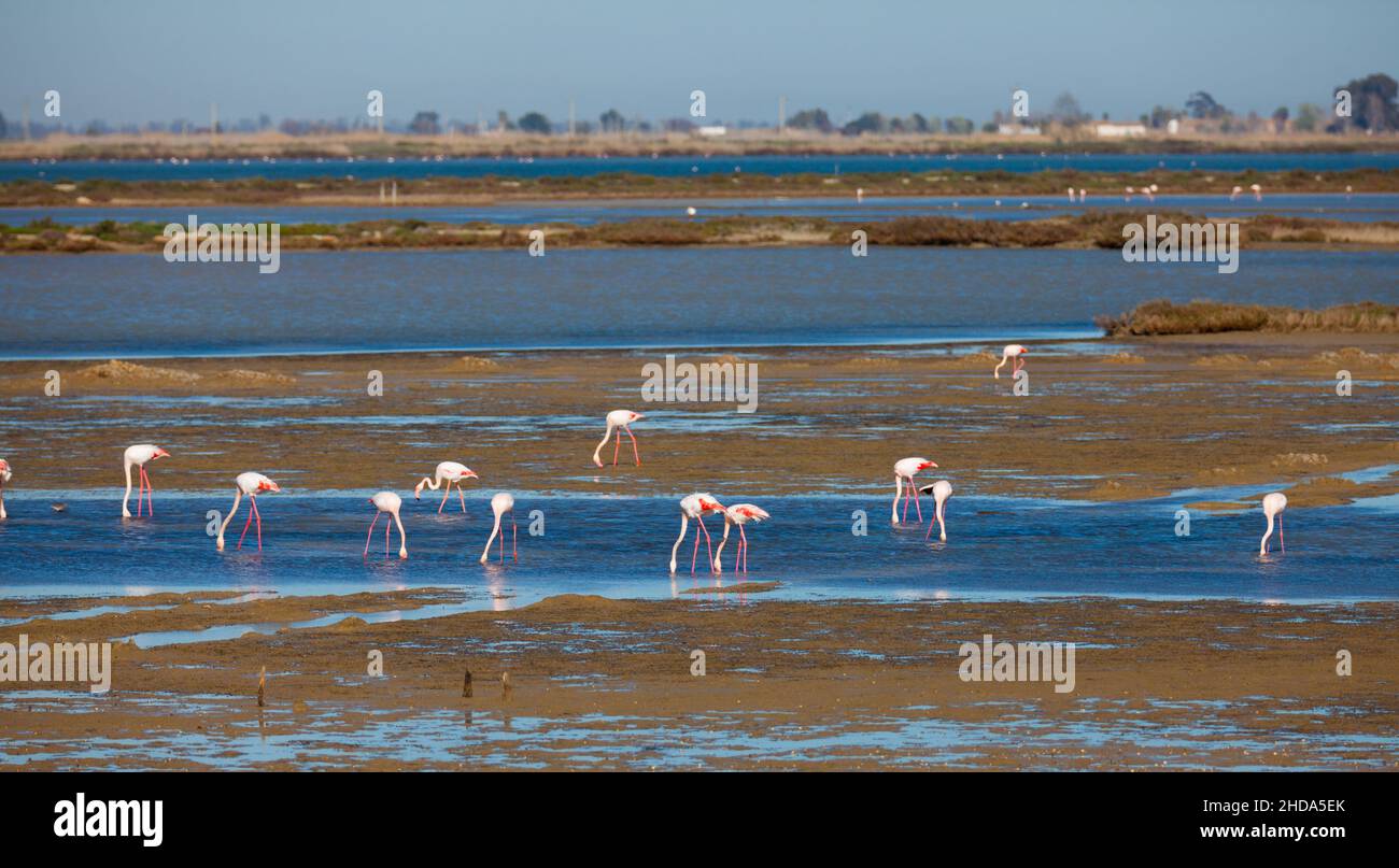 Ebro national park hi-res stock photography and images - Alamy