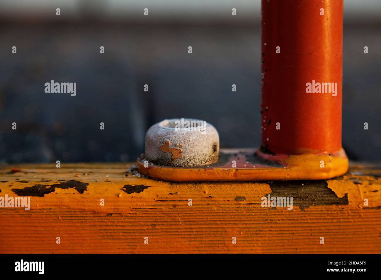 rubber-covered screw infested with mold and fungus Stock Photo - Alamy