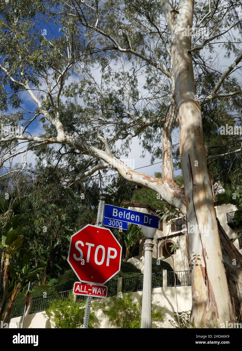 Los Angeles, California, USA 31st December 2021 A general view of ...