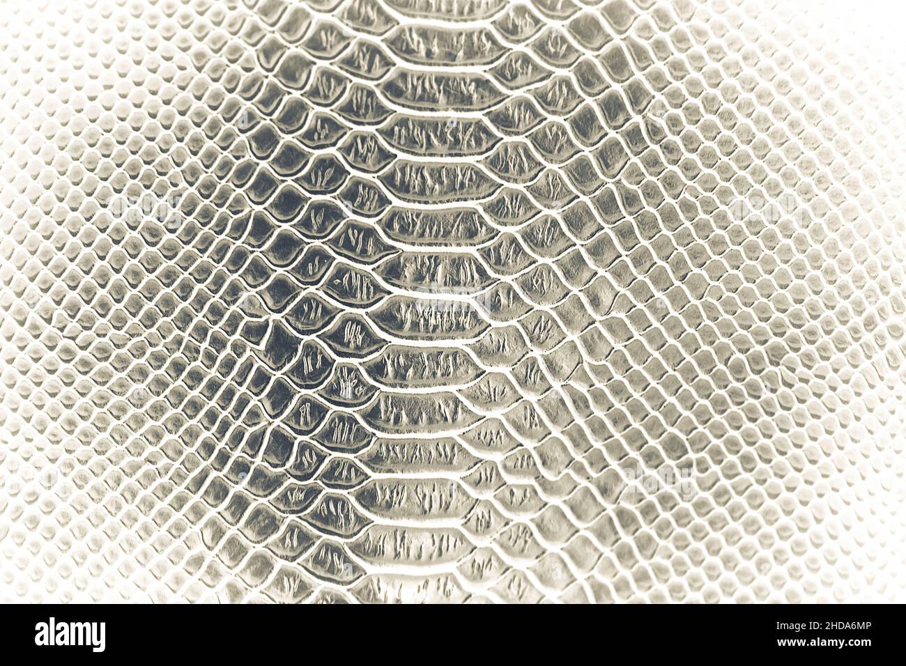 Luxury snake skin texture use for background Stock Photo - Alamy
