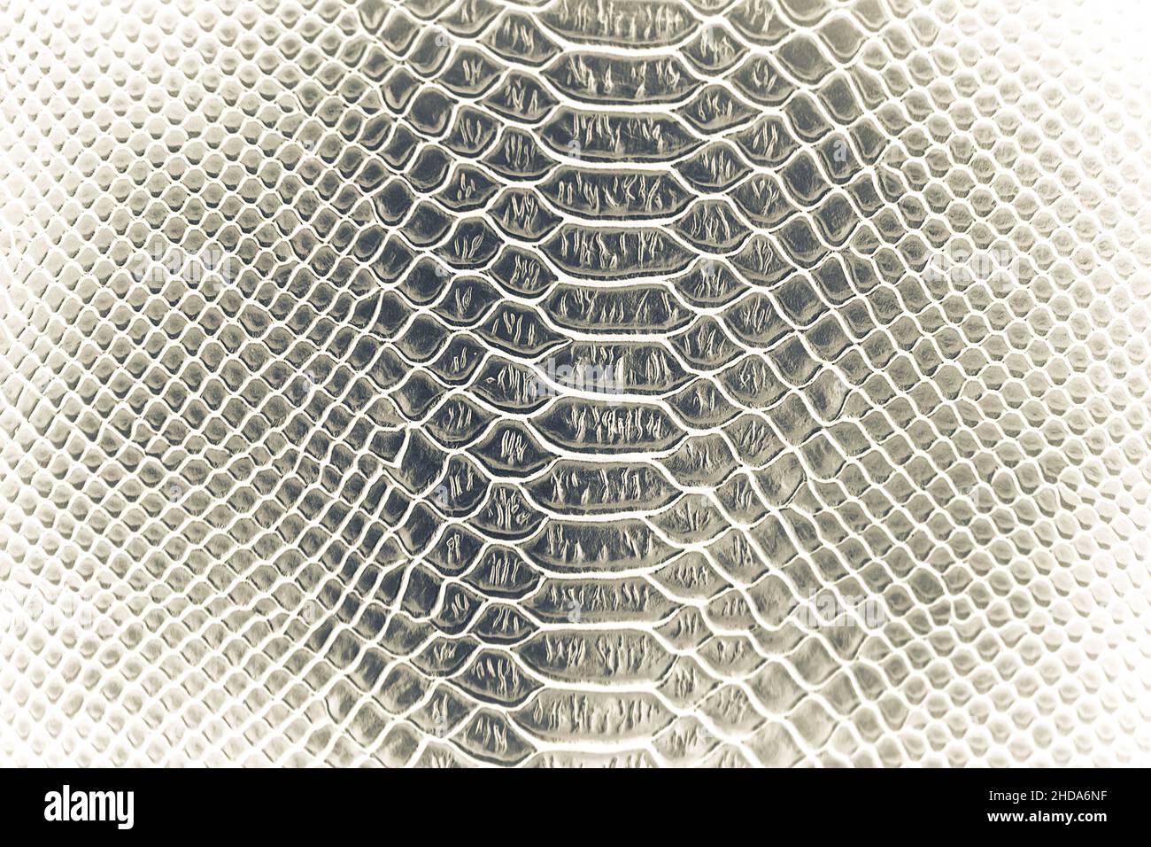 Luxury snake skin texture use for background Stock Photo - Alamy