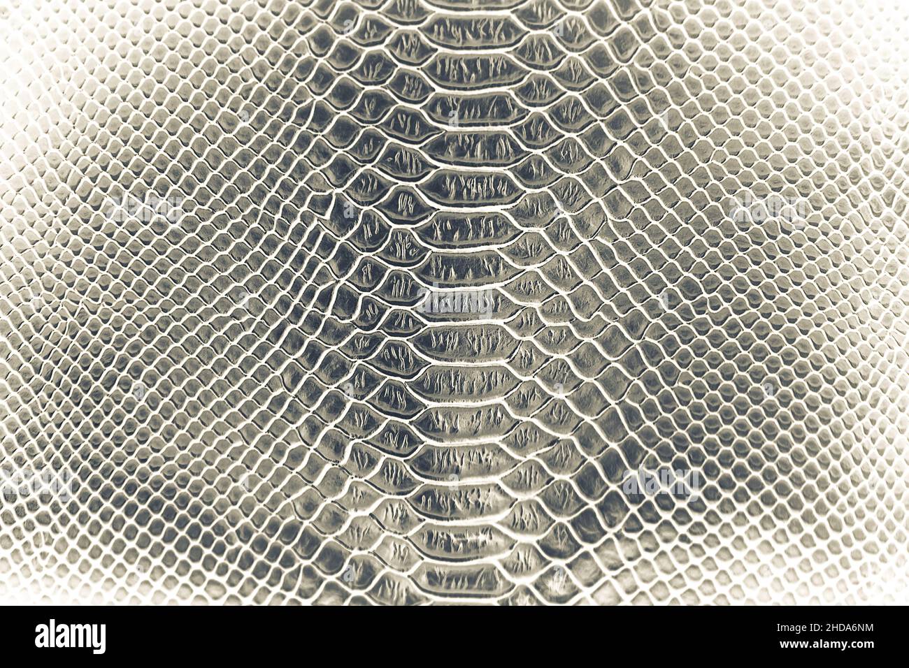 Luxury snake skin texture use for background Stock Photo - Alamy
