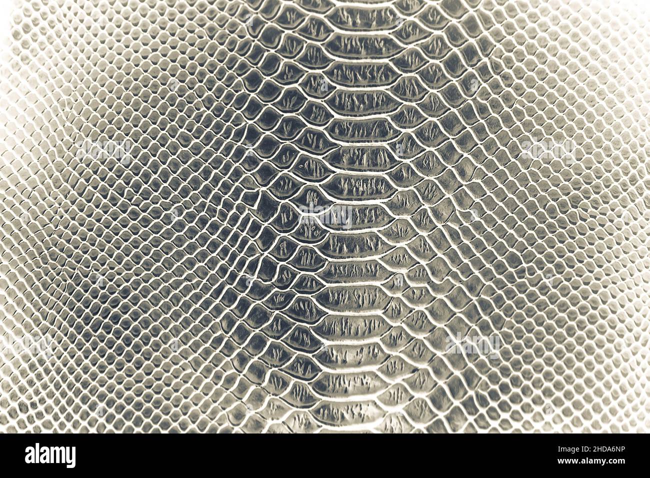 Luxury snake skin texture use for background Stock Photo - Alamy
