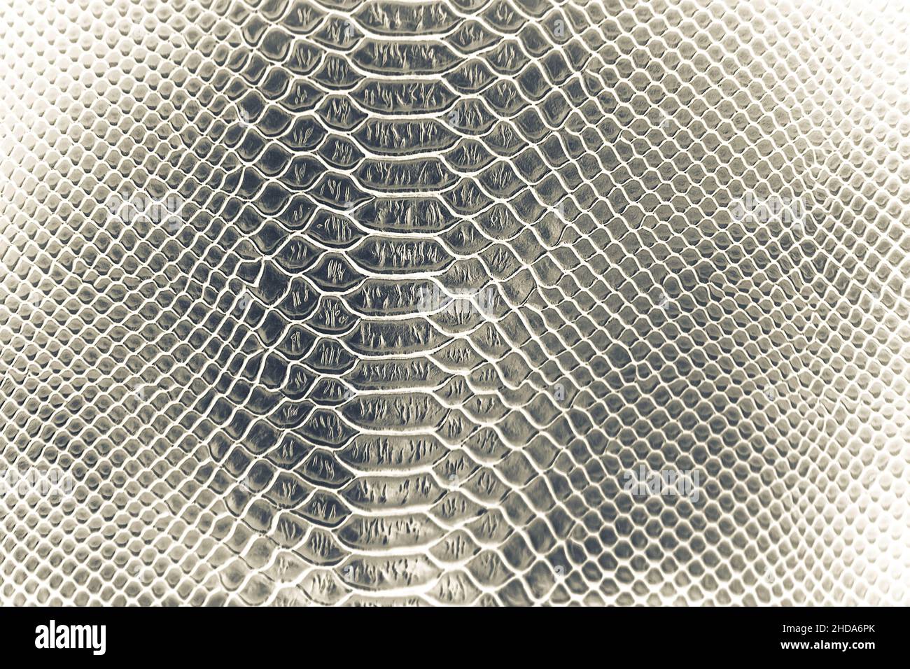 Luxury snake skin texture use for background Stock Photo - Alamy