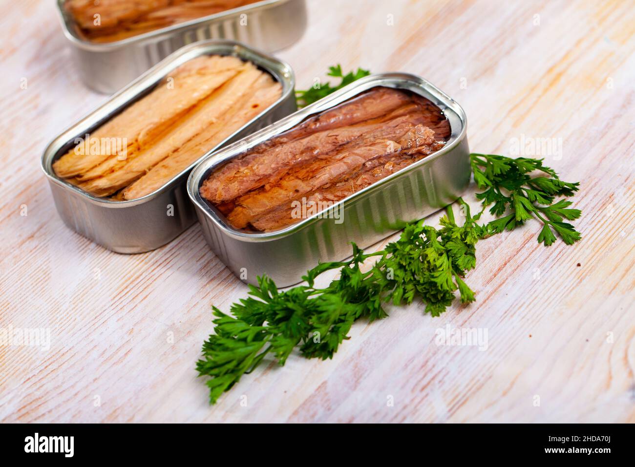 Canned seafood, melva fish fillets preserved in oi Stock Photo - Alamy