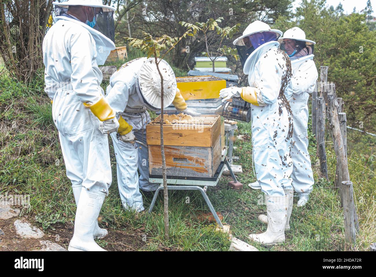 Latino people working hi-res stock photography and images - Alamy