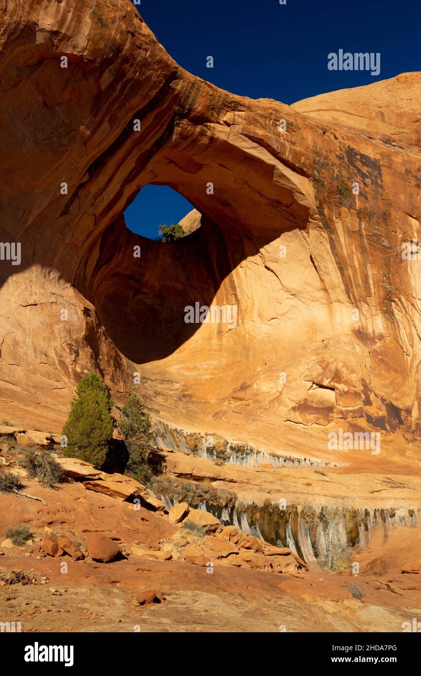 Bowtie Arch hanging above the sandstone landscape along the Corona Arch ...