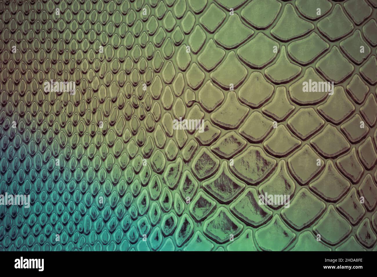 close up of exotic Snakeskin pattern as a wallpaper Stock Photo - Alamy
