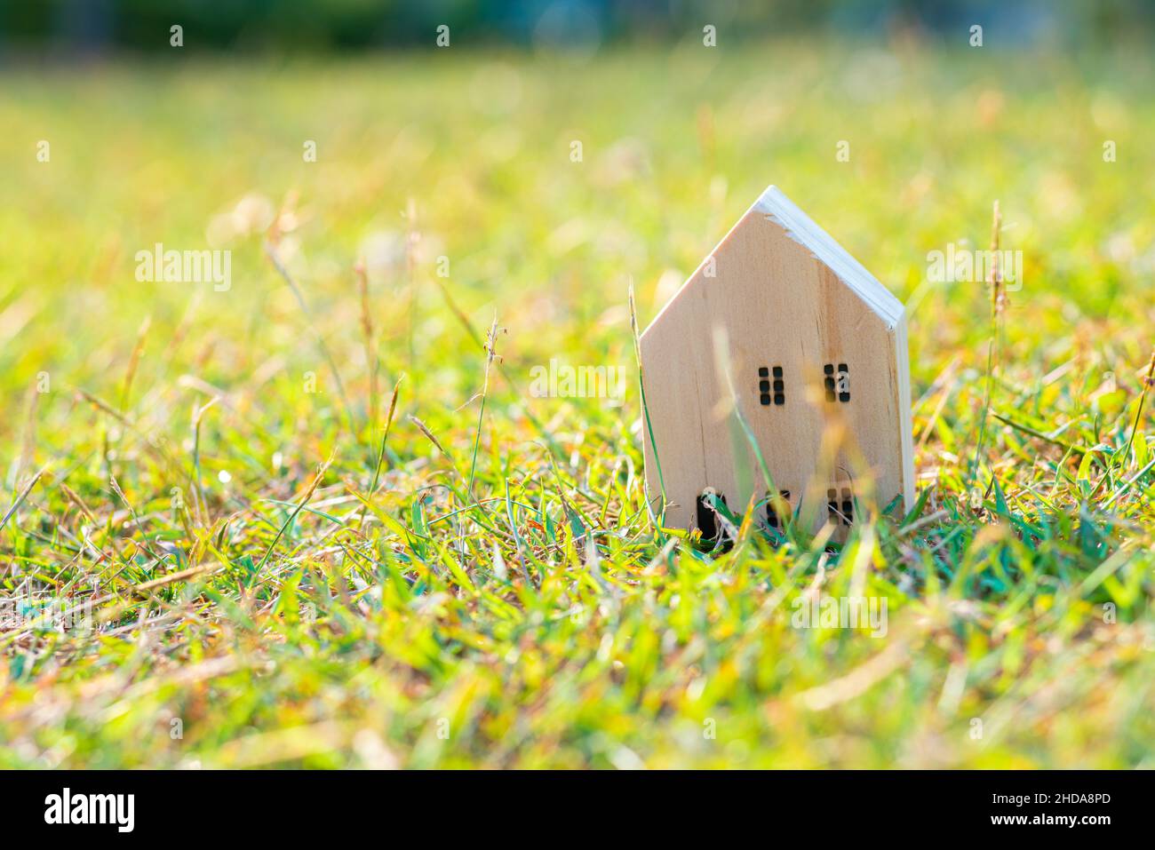 House wood model on green grass asset business concept Stock Photo - Alamy