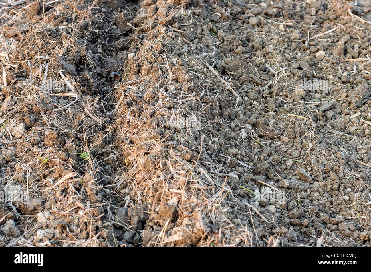 Preparing loose soil for planting vegetable close up shot Stock Photo ...