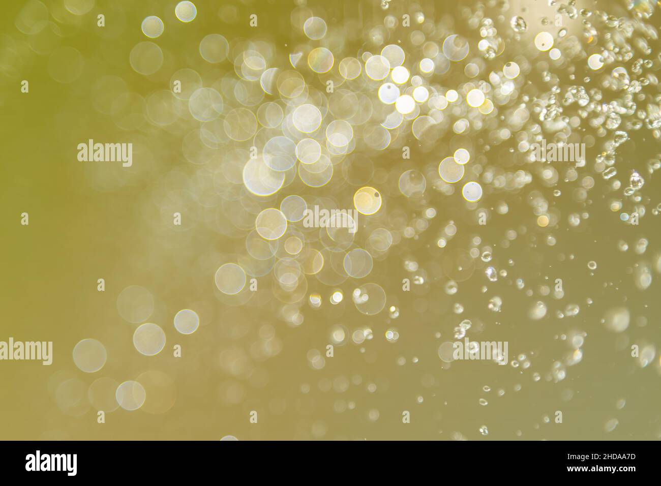 bokeh of water fly and lights background Stock Photo - Alamy