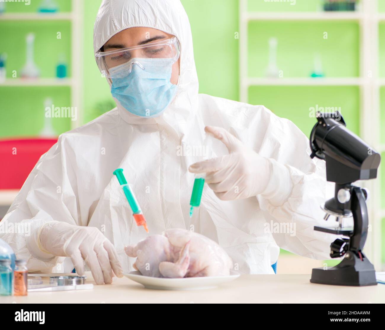 The lab assistant testing gmo chicken Stock Photo - Alamy
