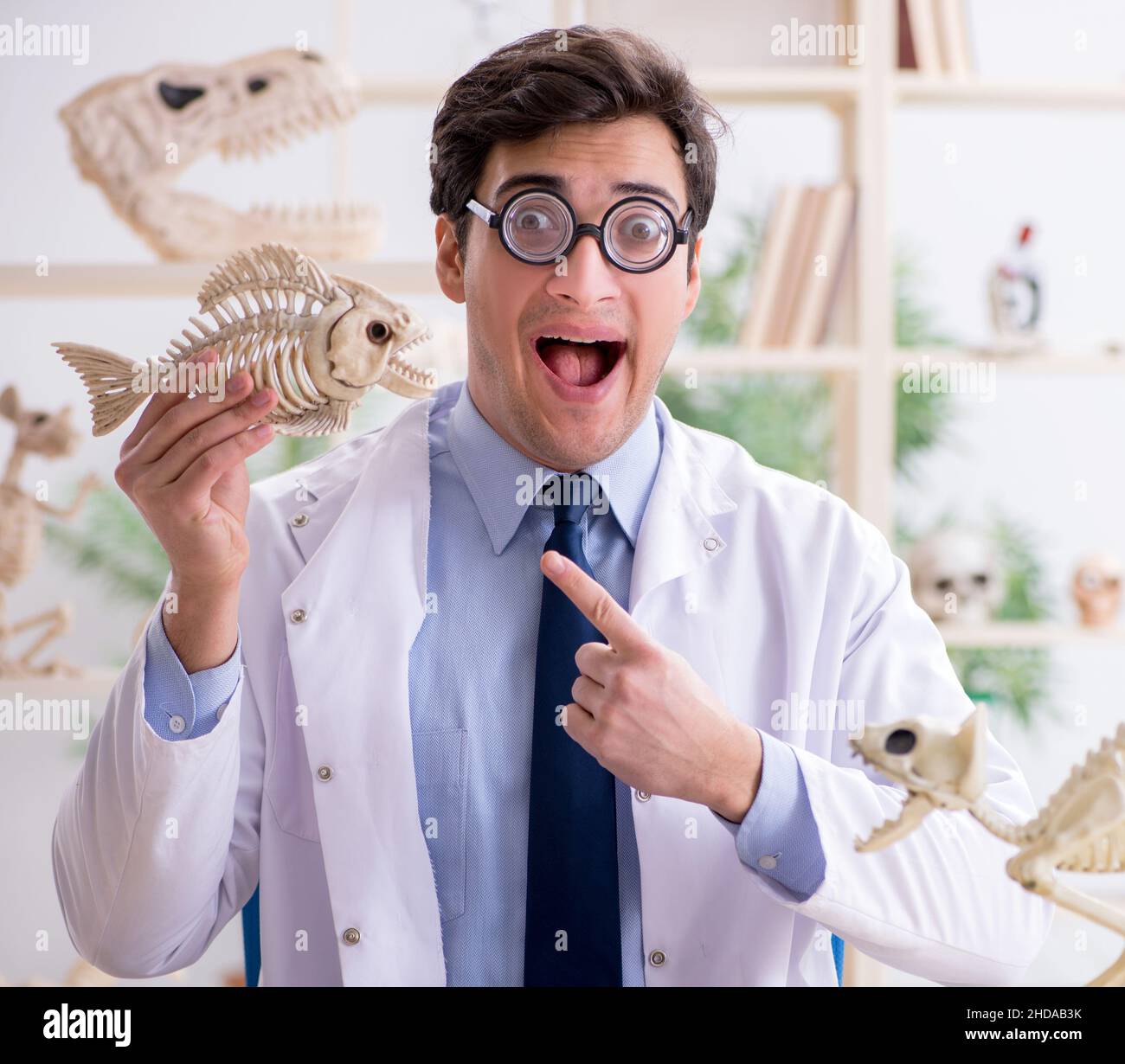 The funny crazy professor studying animal skeletons Stock Photo - Alamy