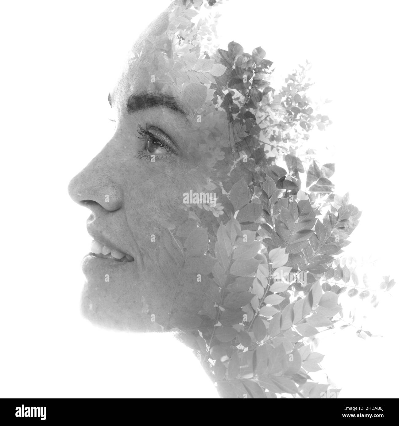 A portrait of a woman combined with nature in a double exposure ...