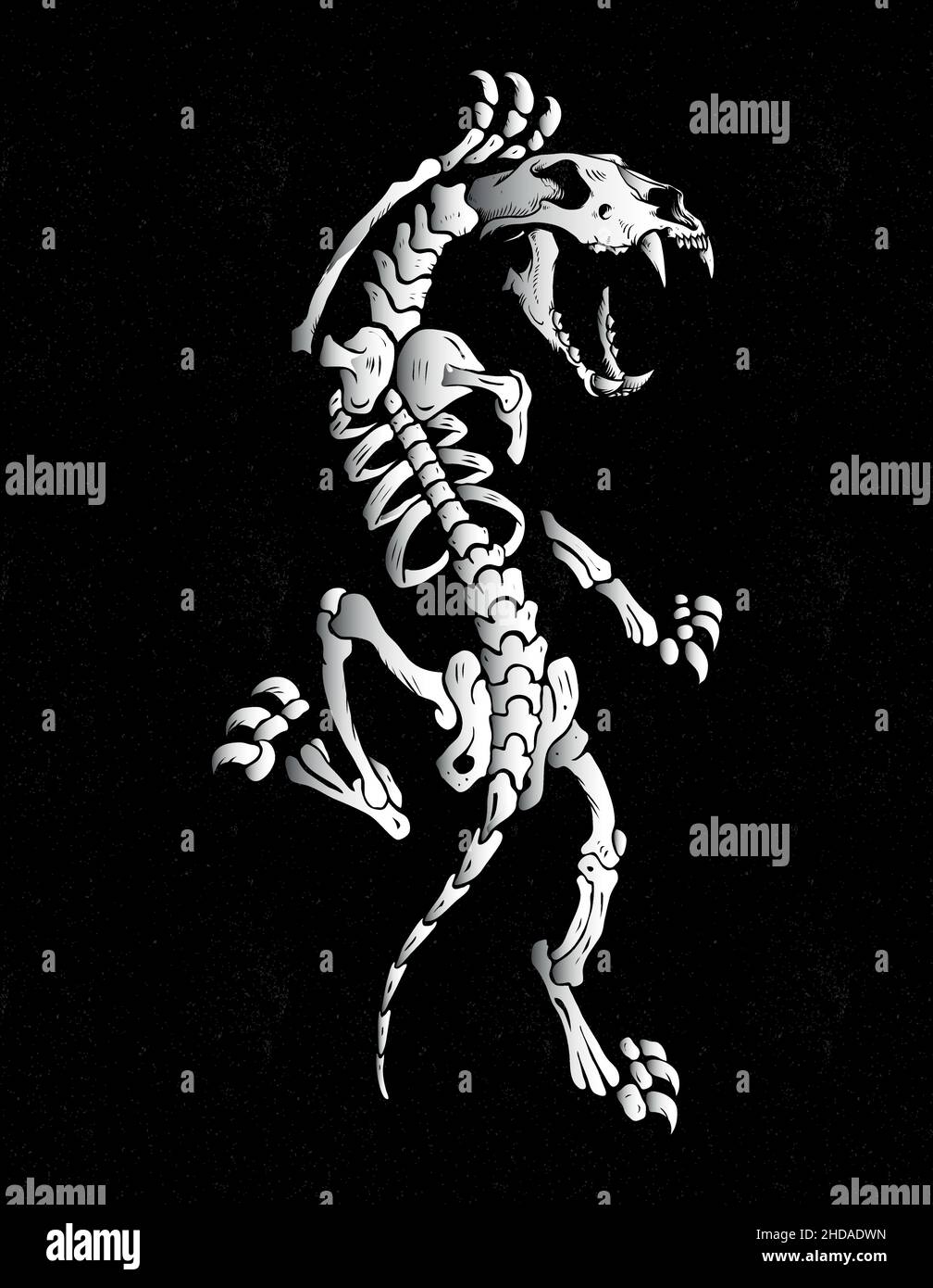 Puma skull Stock Vector Images - Alamy