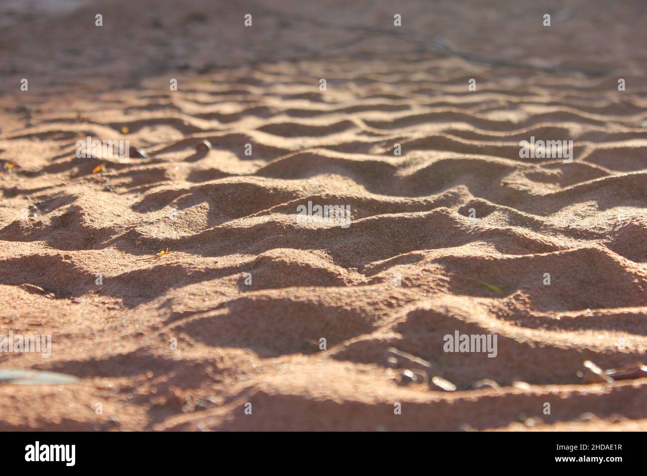 Burgess close hi-res stock photography and images - Alamy